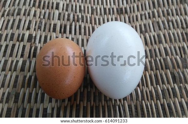 Egg Size Comparison Stock Photo 614091233 | Shutterstock