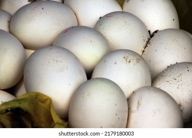 3,128 Reticulated python Images, Stock Photos & Vectors | Shutterstock