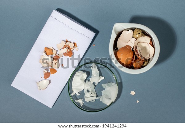Eggshell Membrane Collagen Eggshell Membranes Zero Stock Photo ...