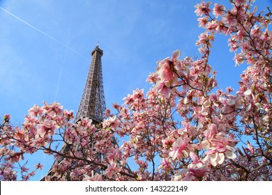 18,494 Paris spring flowers Images, Stock Photos & Vectors | Shutterstock