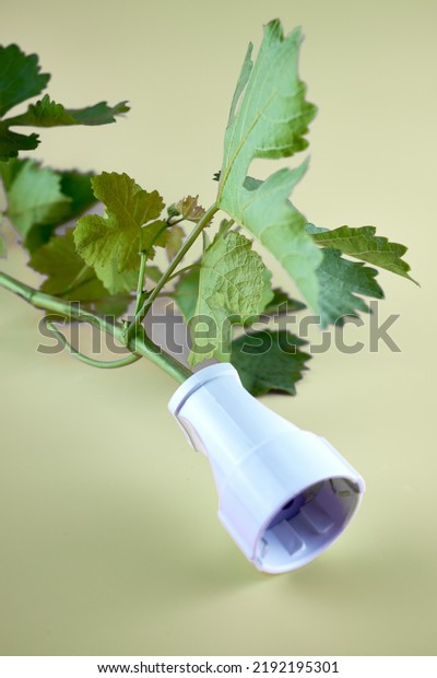 Electrical Outlet Plant Stem Instead Cable Stock Photo 2192195301 ...