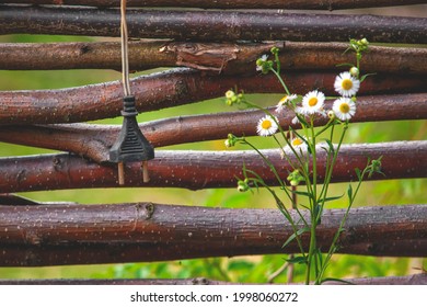 Electrical Wiring Forest Stock Photo 1998060272 | Shutterstock