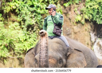 2,187 Elephant talk Images, Stock Photos & Vectors | Shutterstock