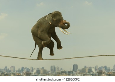 1,210 Elephant Rope Images, Stock Photos & Vectors | Shutterstock