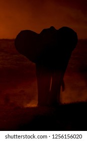 26 Elefant boot Images, Stock Photos & Vectors | Shutterstock