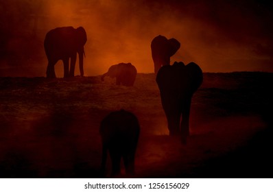 26 Elefant boot Images, Stock Photos & Vectors | Shutterstock