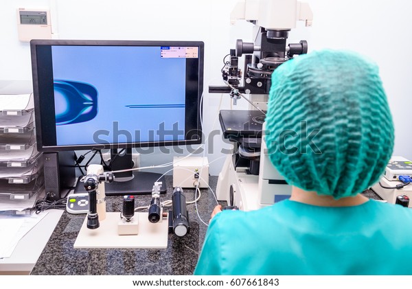 Embryologist Adding Sperm Egg Laboratory Reproductive Stock Photo ...