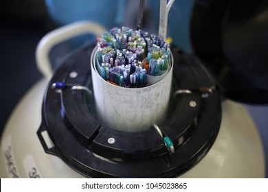 173 Liquid nitrogen dewar Images, Stock Photos & Vectors | Shutterstock