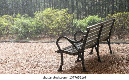 Empty Bench Rain Stock Photo 1377658169 | Shutterstock