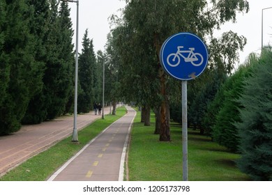 Empty Bicycle Path Stock Photo 1205173804 | Shutterstock