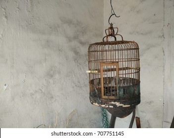 Empty Cage Stock Photo (Edit Now) 707751145
