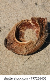 Empty Coconut Shell On Sandy Beach Stock Photo 797256406 | Shutterstock