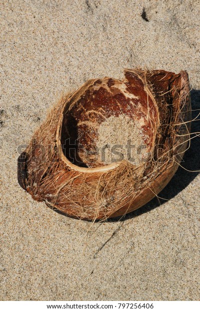 Empty Coconut Shell On Sandy Beach Stock Photo 797256406 | Shutterstock
