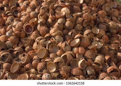 629 Empty Coconut Husk Images, Stock Photos & Vectors | Shutterstock