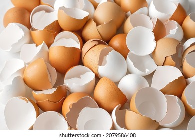 6,847 Split shell Images, Stock Photos & Vectors | Shutterstock