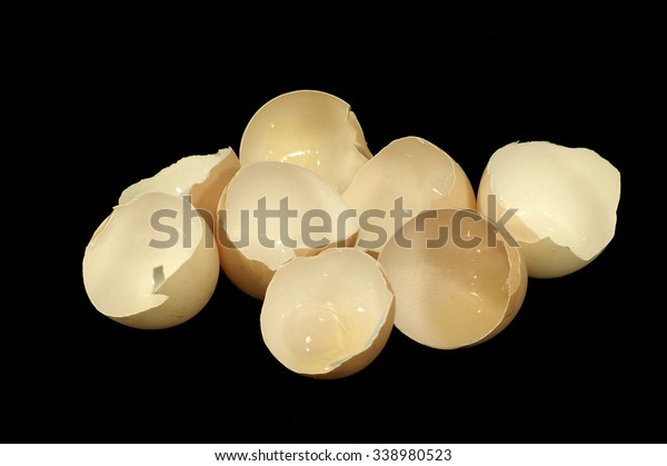 Empty Egg Shells On Black Background Stock Photo 338980523 | Shutterstock