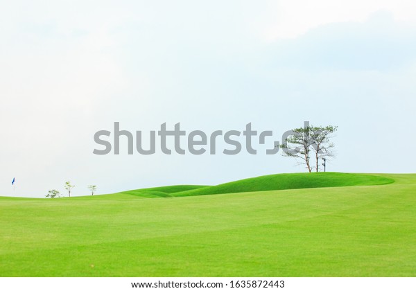 Empty Golf Course Lonely Tree Flag ภาพสต็อก 1635872443 | Shutterstock
