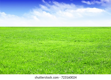 Empty Grass Field Background Stock Photo 723160024 | Shutterstock