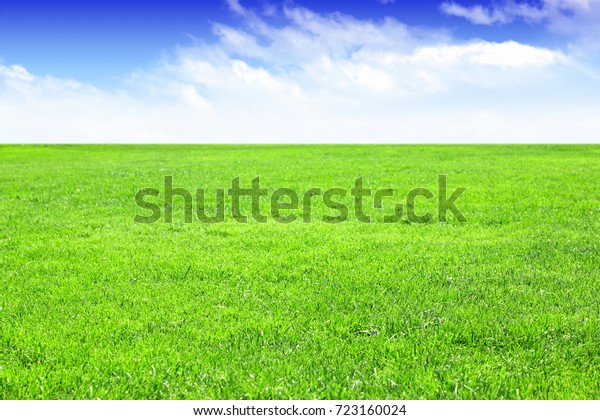 Empty Grass Field Background Stock Photo 723160024 | Shutterstock