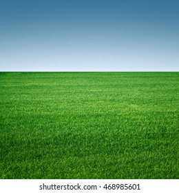 Empty Grass Field Background Simple Minimalistic Stock Photo 468985601 ...