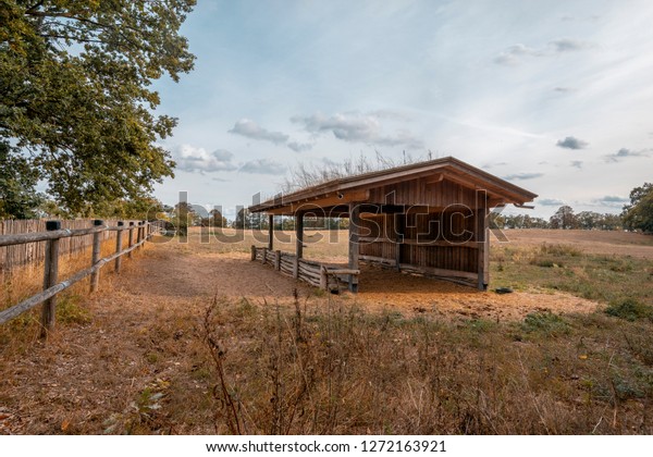 Empty Horse Stable Stock Photo 1272163921 | Shutterstock