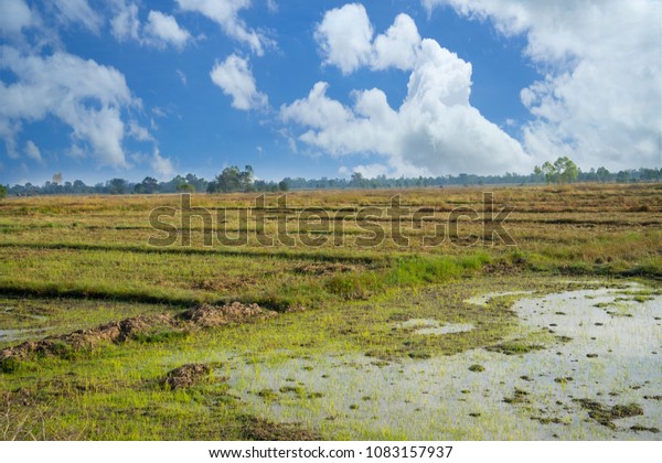 Empty Land Plot Rural Area Rice Stock Photo (Edit Now) 1083157937