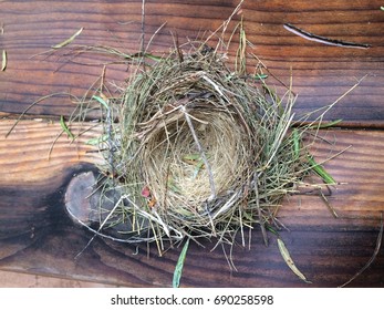 Empty Nest Stock Photo 690258598 | Shutterstock