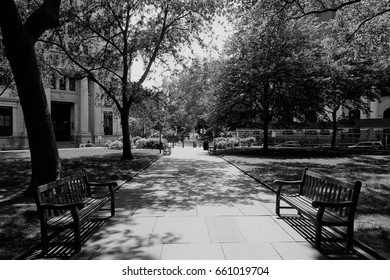 Empty Park Stock Photo 661019704 | Shutterstock