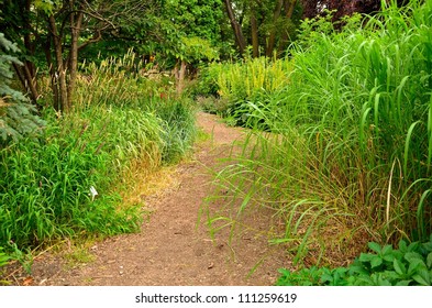 Empty Path Through Park Summer Day Stock Photo 111259619 | Shutterstock