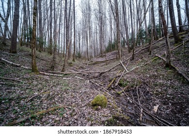 498 Muddy River Bed Images, Stock Photos & Vectors | Shutterstock