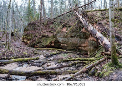498 Muddy River Bed Images, Stock Photos & Vectors | Shutterstock