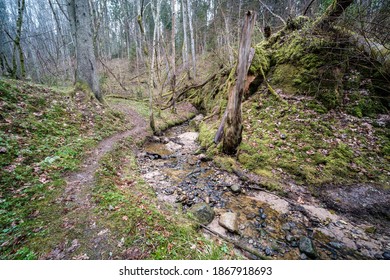 498 Muddy River Bed Images, Stock Photos & Vectors | Shutterstock