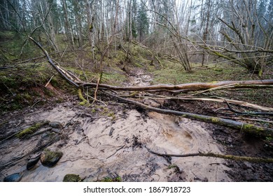 498 Muddy River Bed Images, Stock Photos & Vectors | Shutterstock