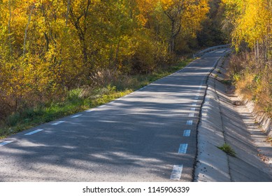 Empty Road Leading Through Fall Foliage Stock Photo 1145906339 ...