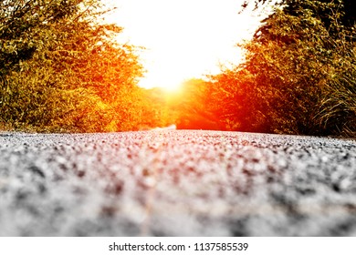 73 Moddle Images, Stock Photos & Vectors | Shutterstock