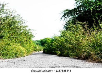 73 Moddle Images, Stock Photos & Vectors | Shutterstock