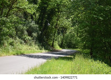 Empty Road Through Spring Trees Bushland Stock Photo 1409822771 ...