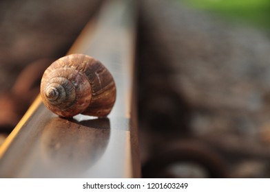 Empty Shell On Train Rail Stock Photo 1201603249 | Shutterstock