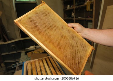 Empty Small Honey Frames Bees Apiary Stock Photo 2003686916 | Shutterstock