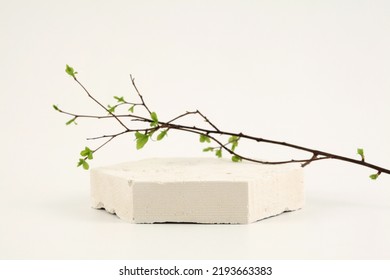 Empty Texture Stone Gypsum Platform Eco Stock Photo 2193663383 ...