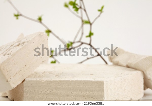 Empty Texture Stone Gypsum Platform Eco Stock Photo 2193663381 ...
