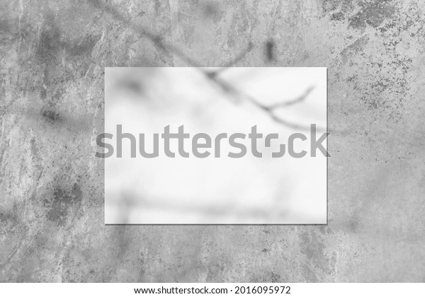 Empty White Horizontal Rectangle Poster Card Stock Photo 2016095972 ...