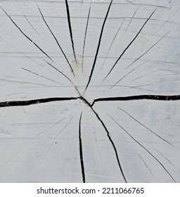 1.699 imagens de Star cross section Imagens, fotos stock e vetores ...