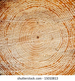 4,245 End grain wood texture Images, Stock Photos & Vectors | Shutterstock