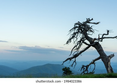 Stock Photo and Image Portfolio by BigC89 | Shutterstock