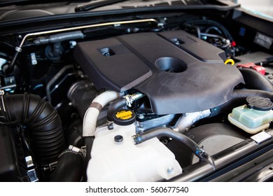 Coolant Container Cars Engine Bay库存照片131891621 | Shutterstock
