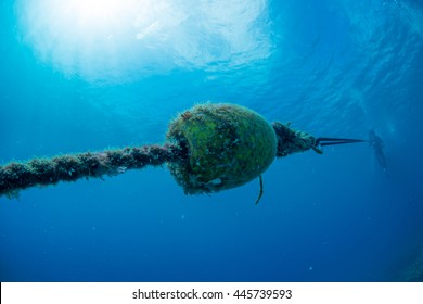 Entry Rope Stock Photo 445739593 | Shutterstock