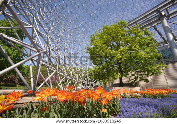 8 Bioshere Images, Stock Photos & Vectors | Shutterstock