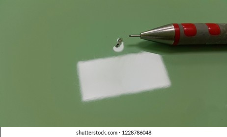 Epoxy Flooring Defect Bug Caught On Stock Photo 1228786048 | Shutterstock