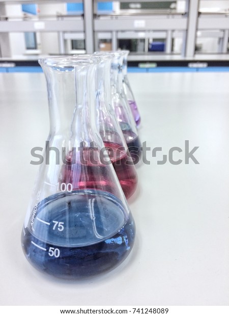 Erlenmeyer Flasks Line On Bench Laboratory Stock Photo (Edit Now) 741248089